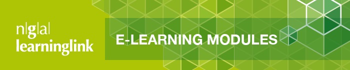 Governance E-Learning - Bolton Governance Services - Bolton Governance Services